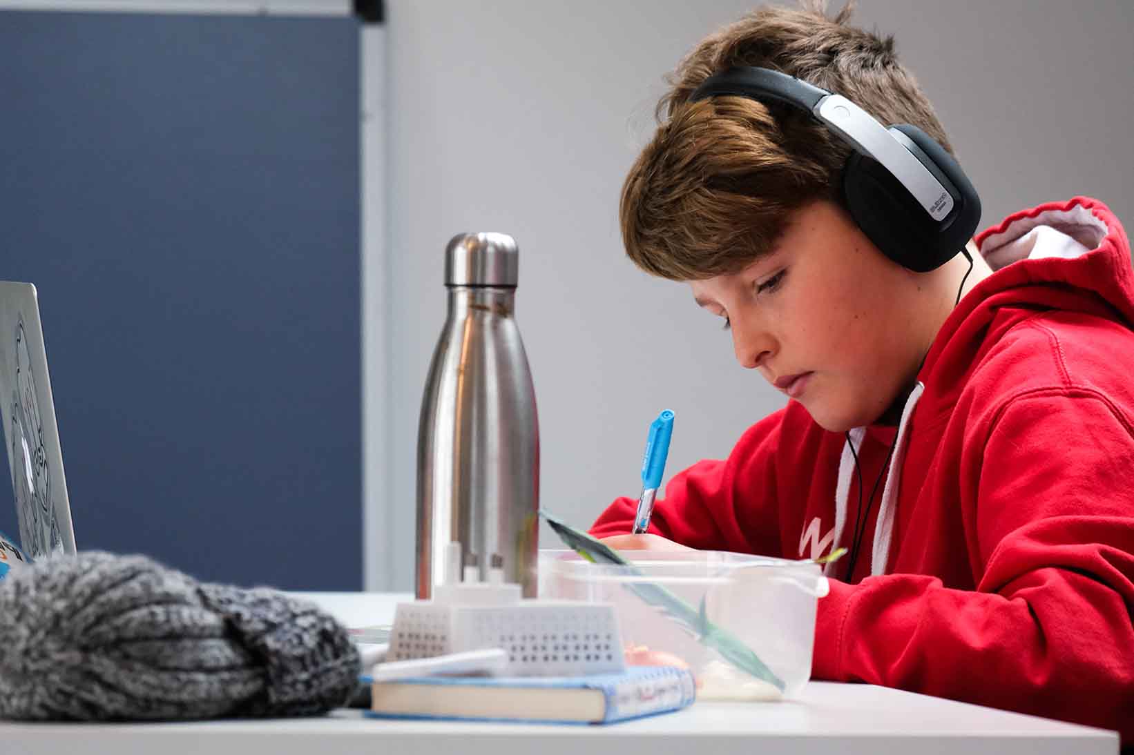 Primary Tuitions Virtual Classes